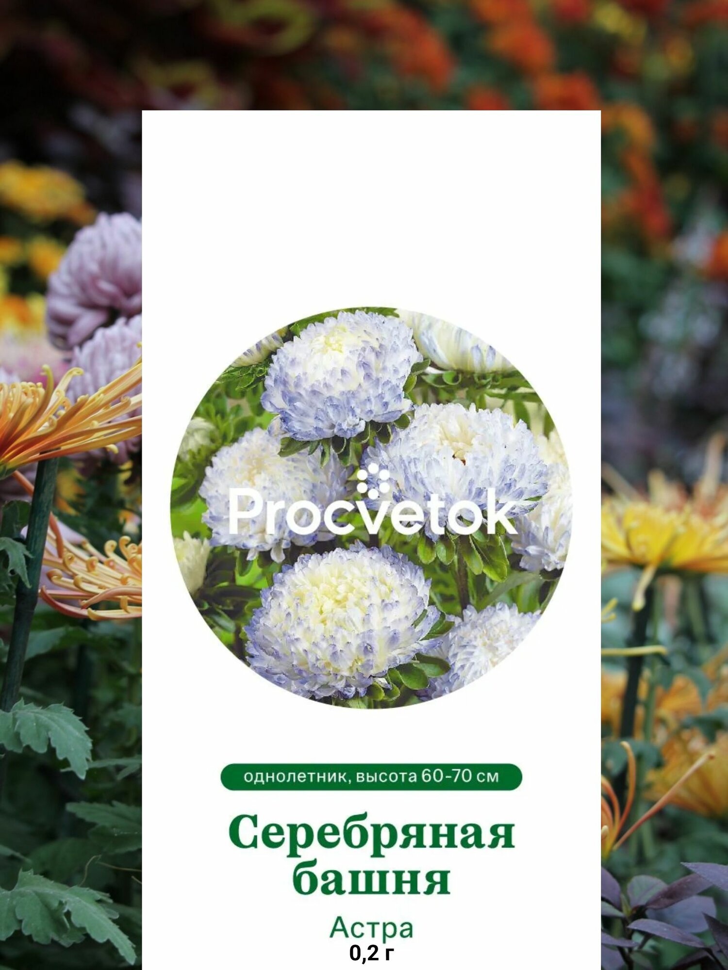 Семена Астра Серебряная башня 0,2г, Процветок