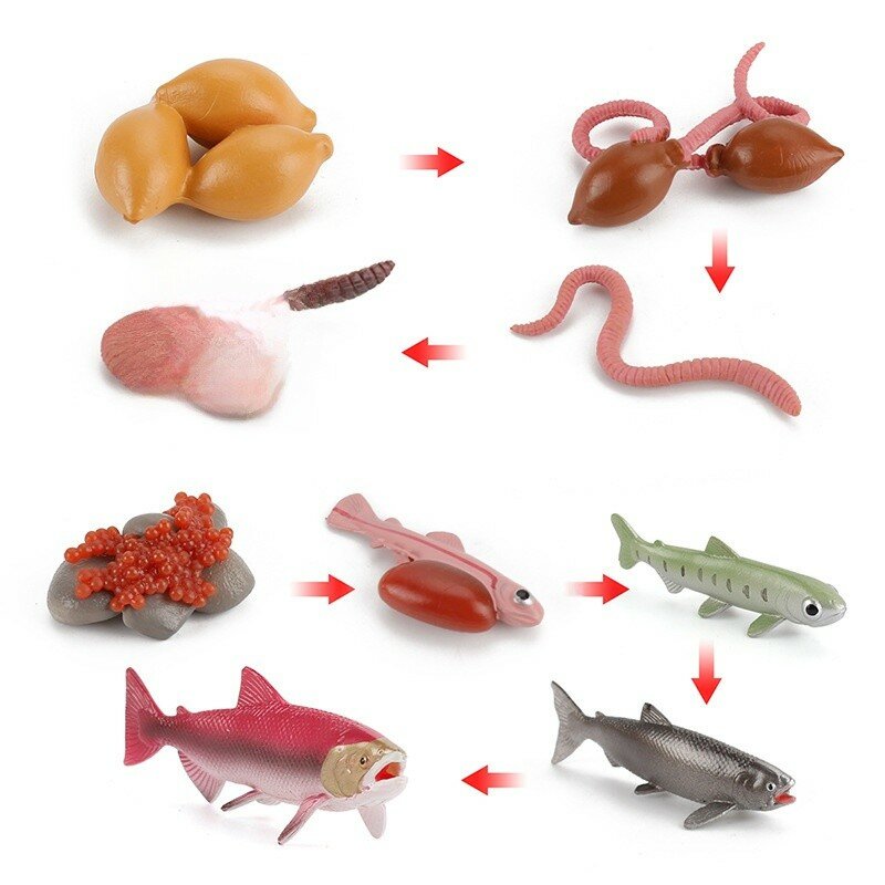 Kids learning animal and insect growth cycle pvc earthworm octopus model set for educational and creative play