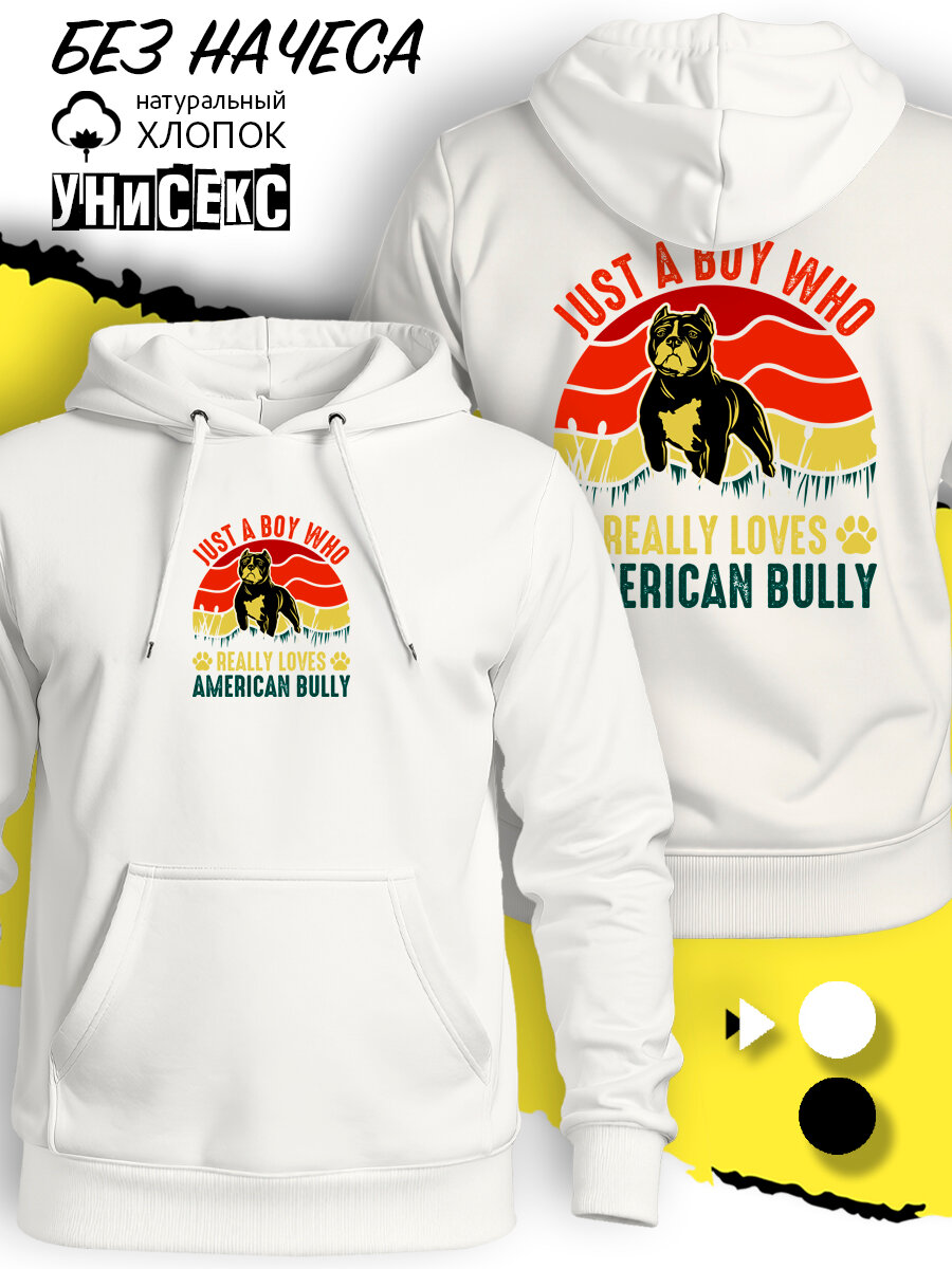 Худи Толстовка свитшот американский булли