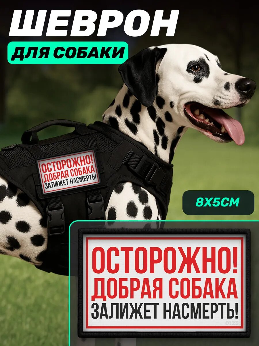 Шеврон на шлейку для собак Осторожно Добрая собака