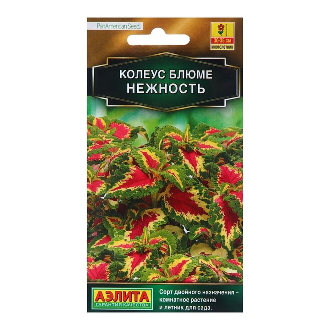 Семена колеуса Агрофирма аэлита "Блюме Нежность", многолетние, 5 шт