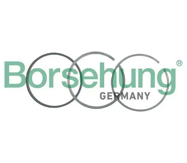 Кольца поршневые Borsehung B19039 dm.82.50 STD 1.2-1.5-2 1 ПОР, Audi 80, 100, A4, A6, A8, Seat Alhambra, Ibiza, Skoda Octavia, Superb, VW Bora, Golf, Sharan, Passat 2.0, 2.6, 2.8 двигатель 6A