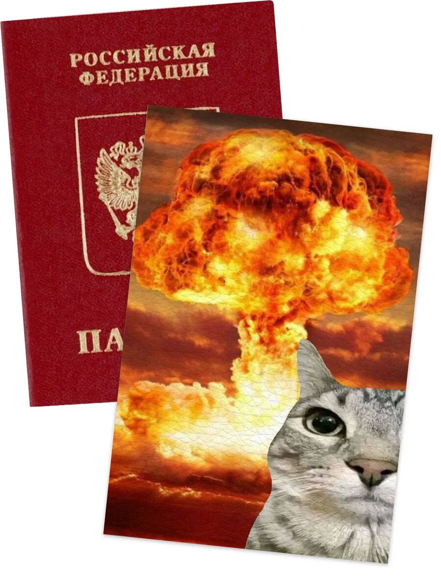 Обложка для паспорта