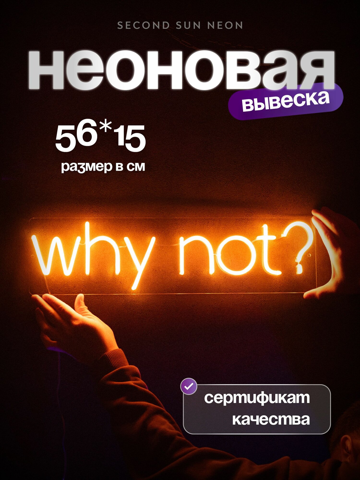 Неоновая вывеска Why Not