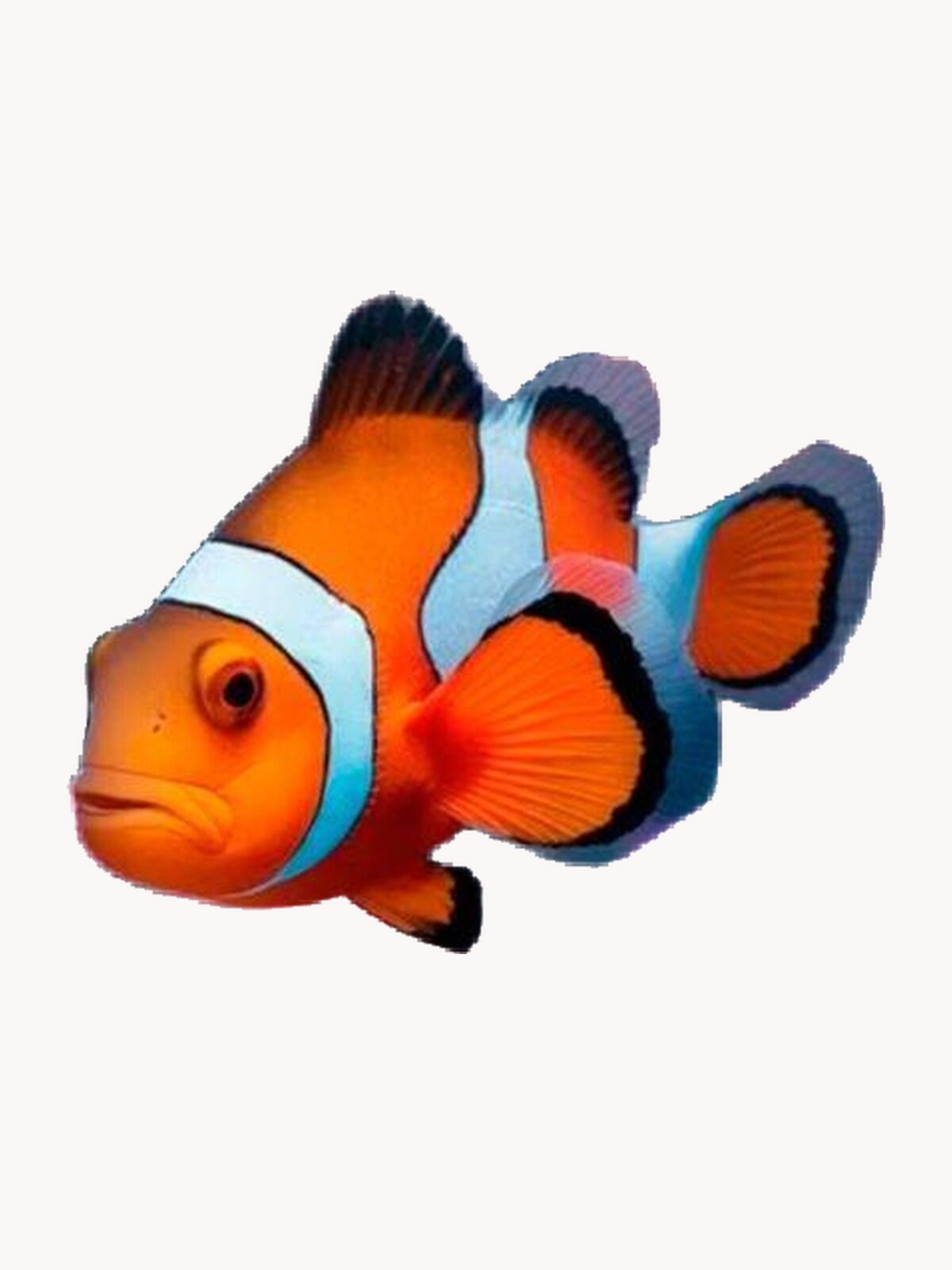 Телевизор Haier S3 65"