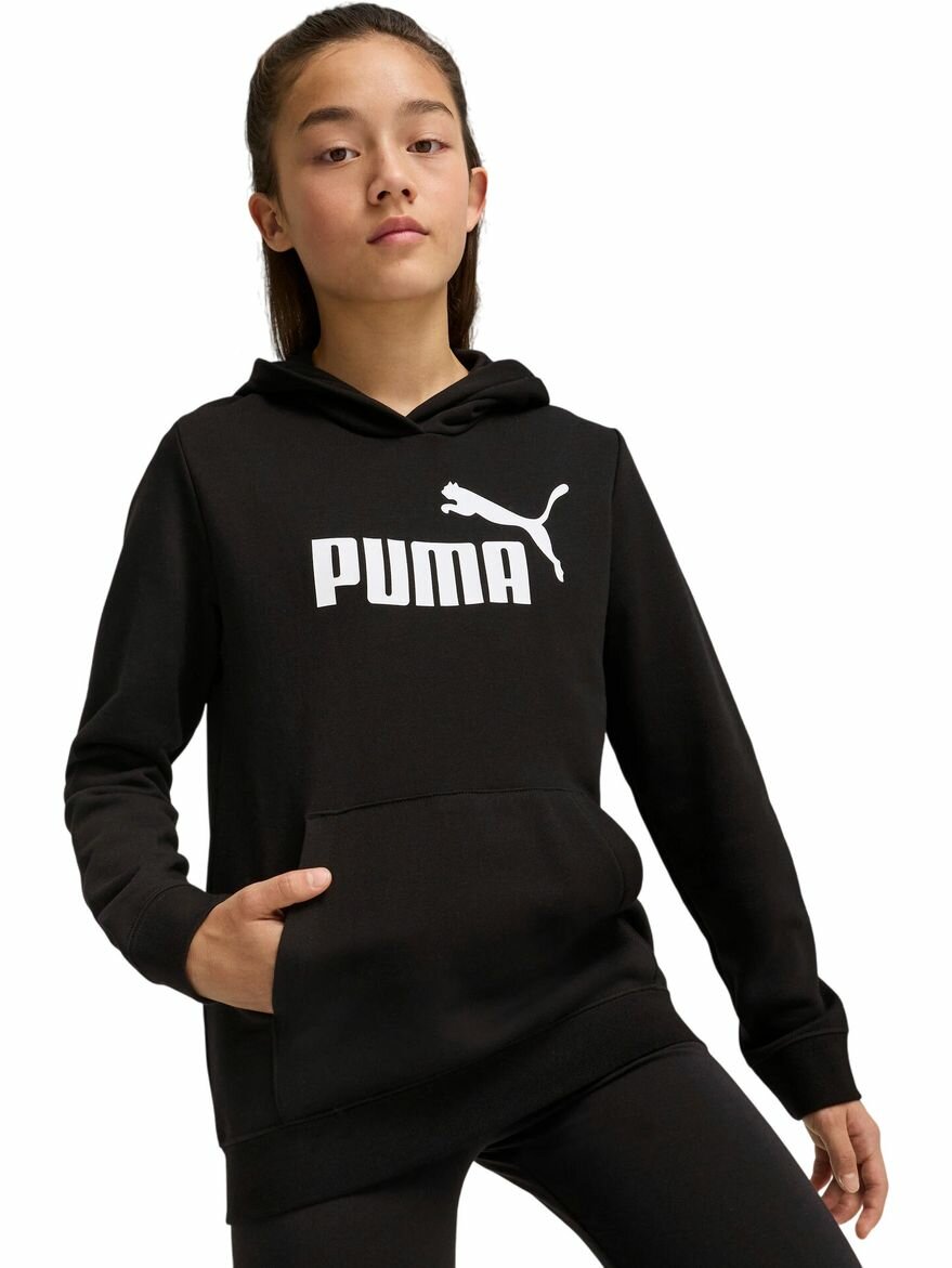 Худи ESS No. 1 Logo Hoodie TR G