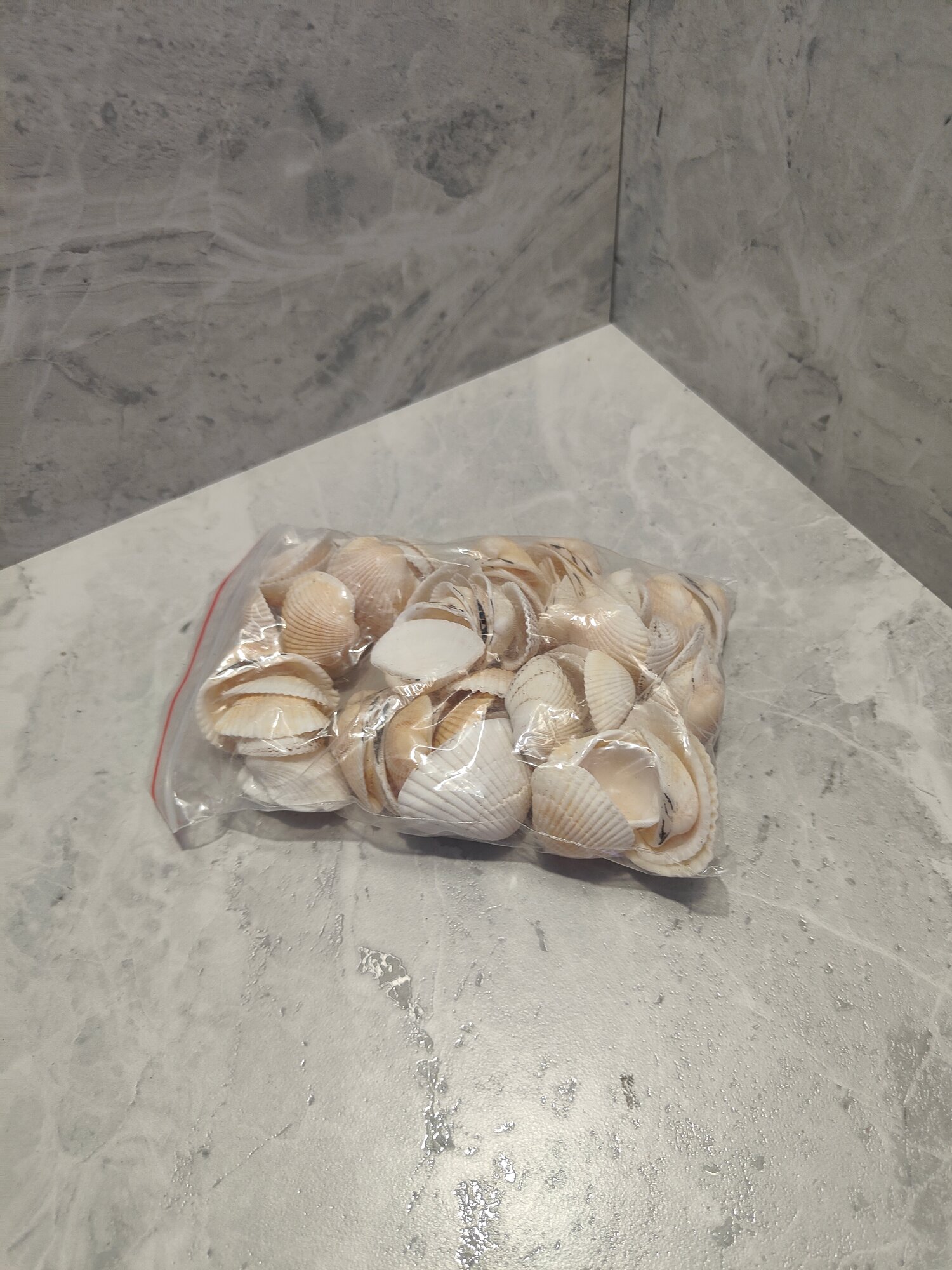 Азовская отборная ракушка 180гр 2- 4,5см./для творчества/для аквариума/Кардиум или сердцевидка