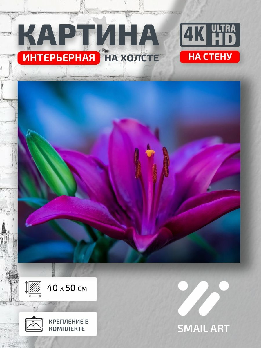 Картина на холсте интерьерная 40 на 50 на стену Фиолетовый Mood для офиса атмосфера декор