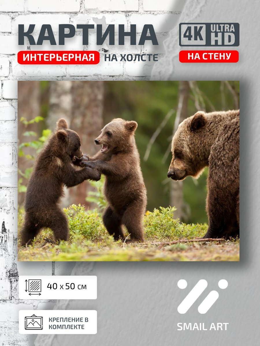 Картина на холсте интерьерная 40 на 50 на стену Деревья Landscape для кабинета пейзаж декор