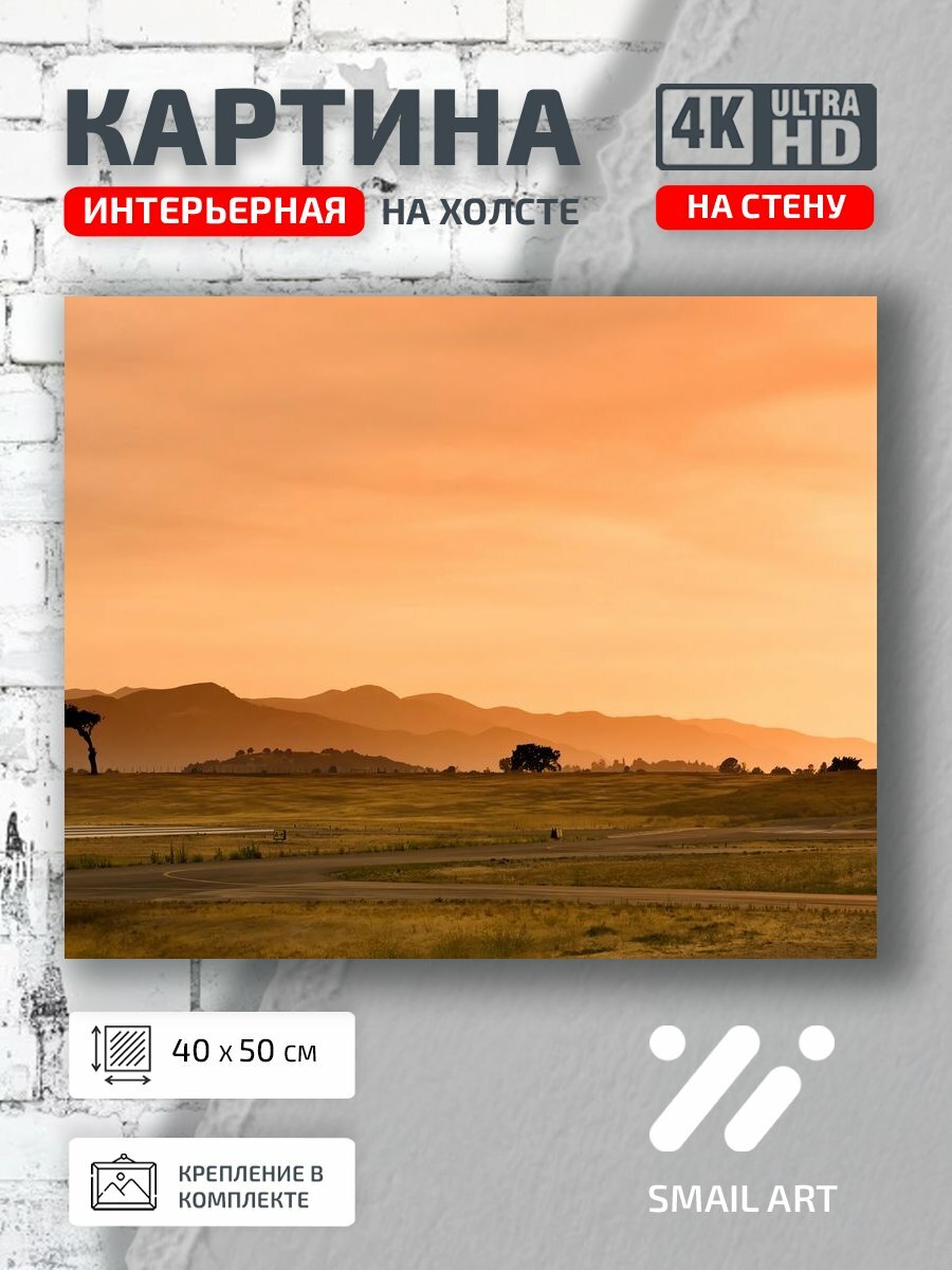 Картина на холсте интерьерная 40 на 50 на стену Степь Landscape для кабинета пейзаж декор