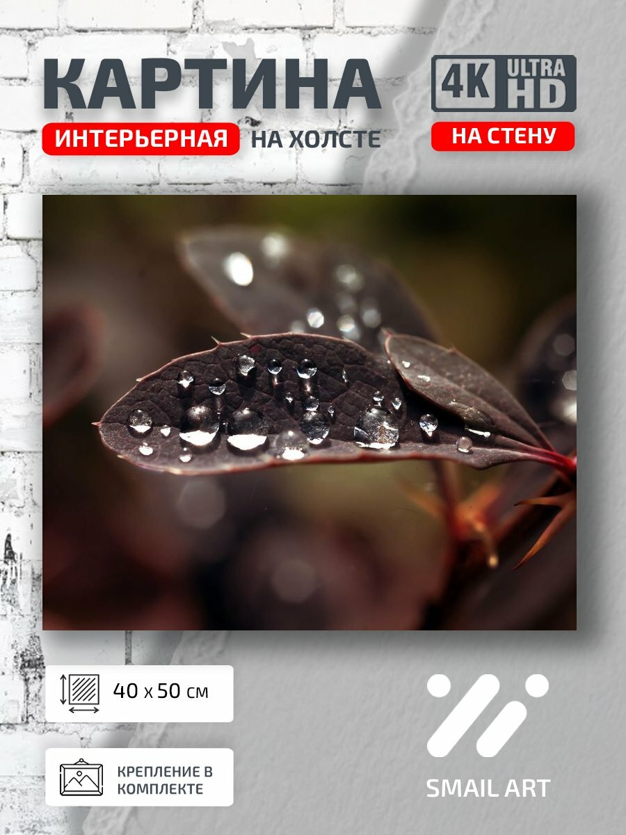 Картина на холсте интерьерная 40 на 50 на стену Капли Macro для офиса макро интерьер декор