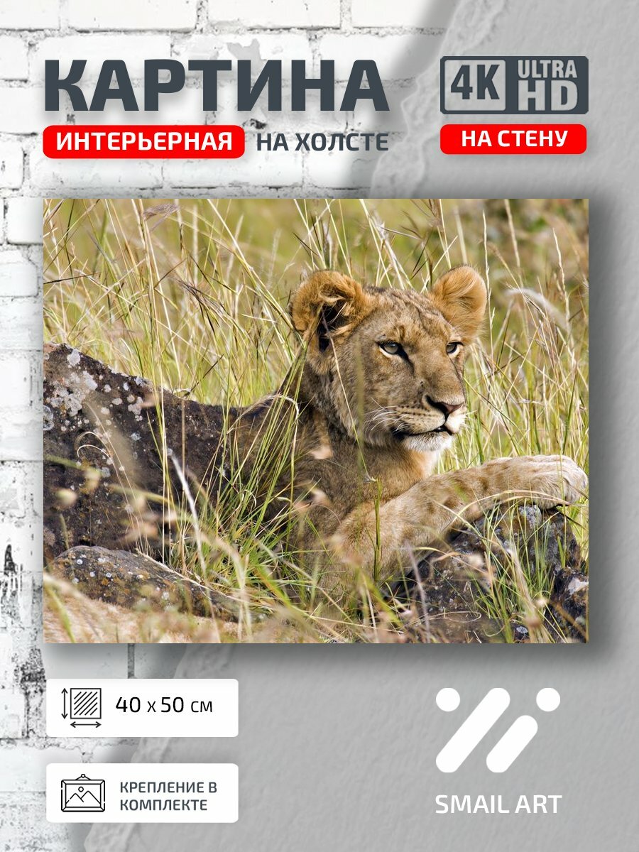 Картина на холсте интерьерная 40 на 50 на стену Добычи Mood для гостиной атмосфера интерьер