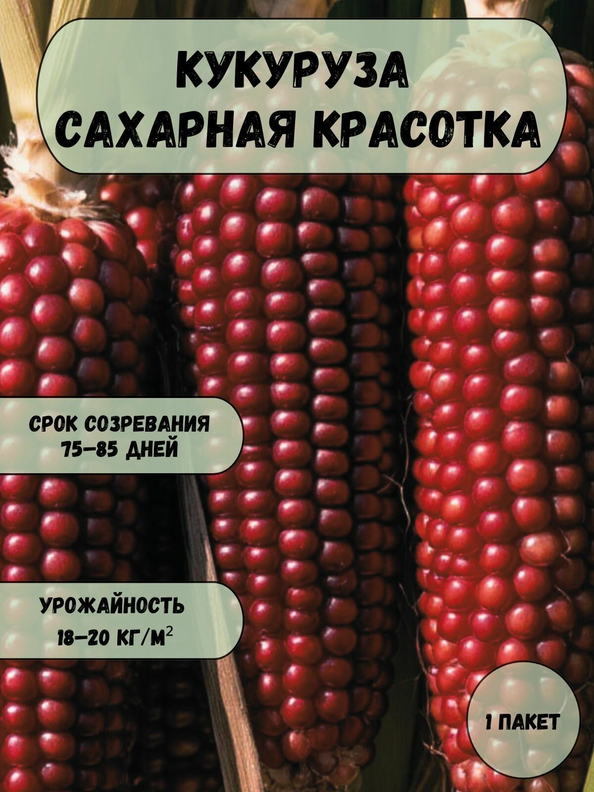 Кукуруза Красотка F1 семена 10 шт