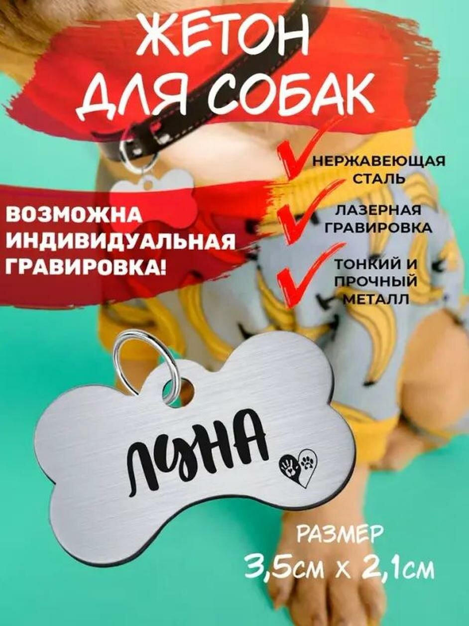 Адресник для собаки с гравировкой, нерж. сталь, серебристый, Луна