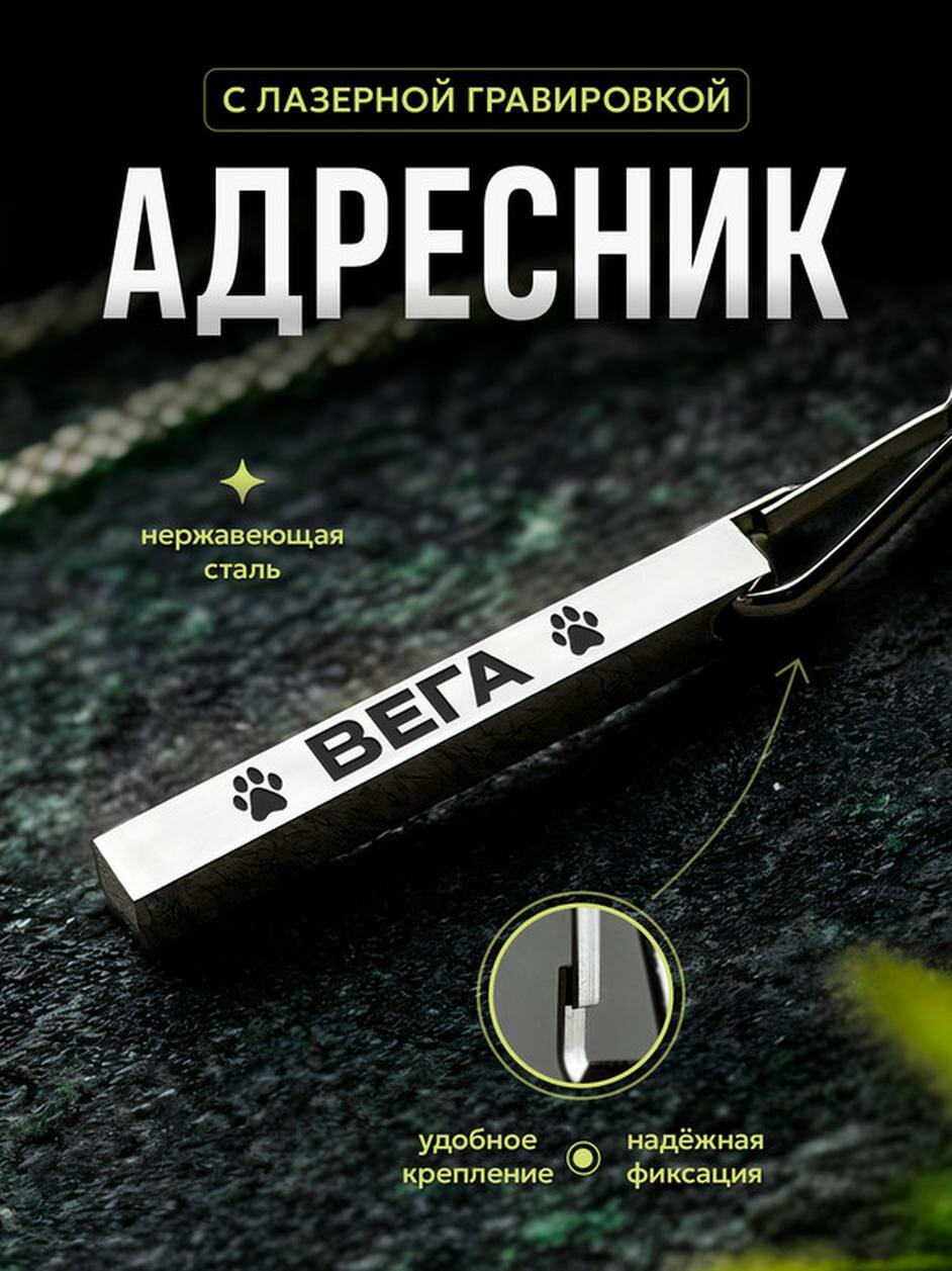 Адресник для собаки с гравировкой, нерж. сталь, серебристый, Вега
