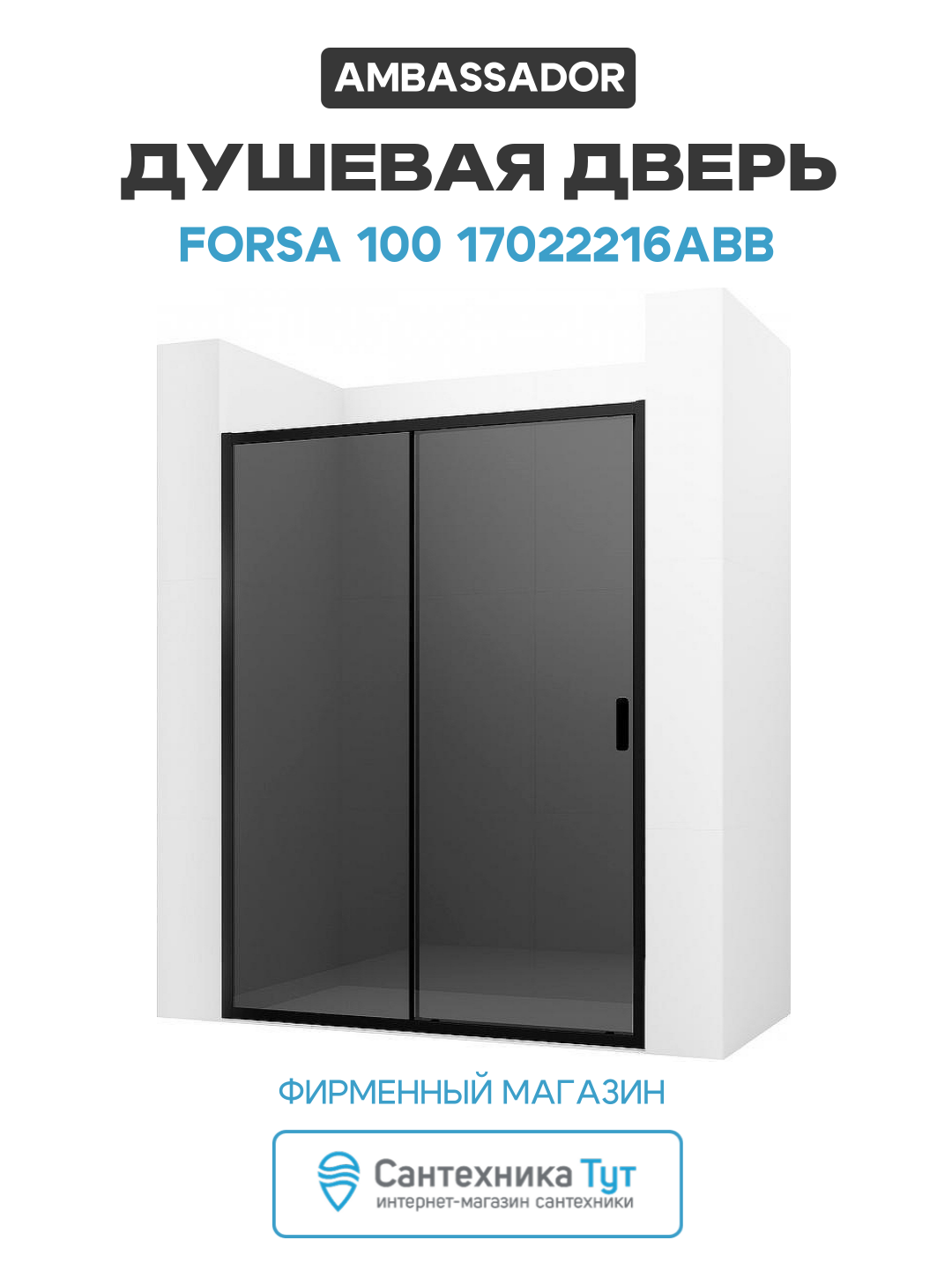 Душевая дверь Ambassador Forsa 100 17022216ABB профиль Черный стекло тонированное алюминий черный Германия