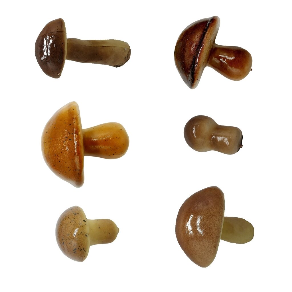 6 грибов из пенопласта с натуралистичным дизайном для интерьера