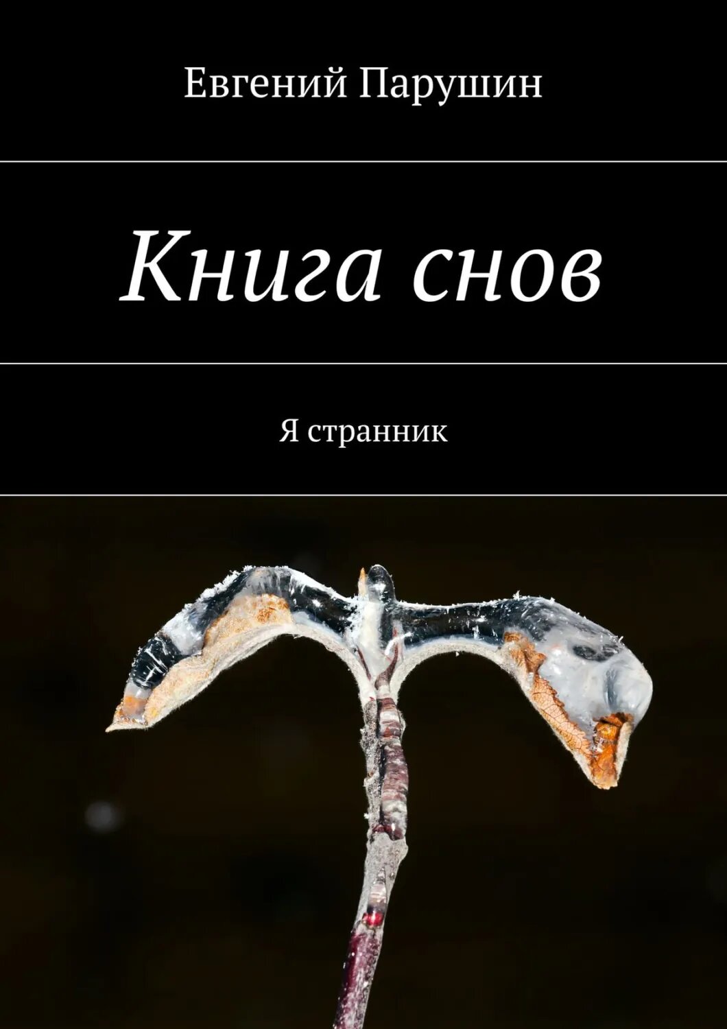 Книга снов [Цифровая книга]