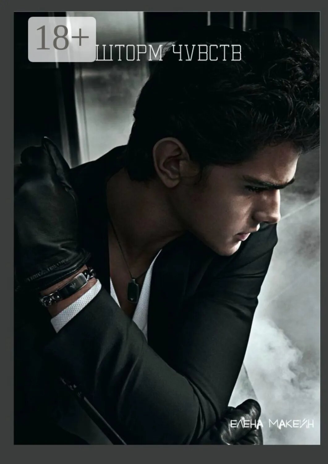 Шторм чувств [Цифровая книга]