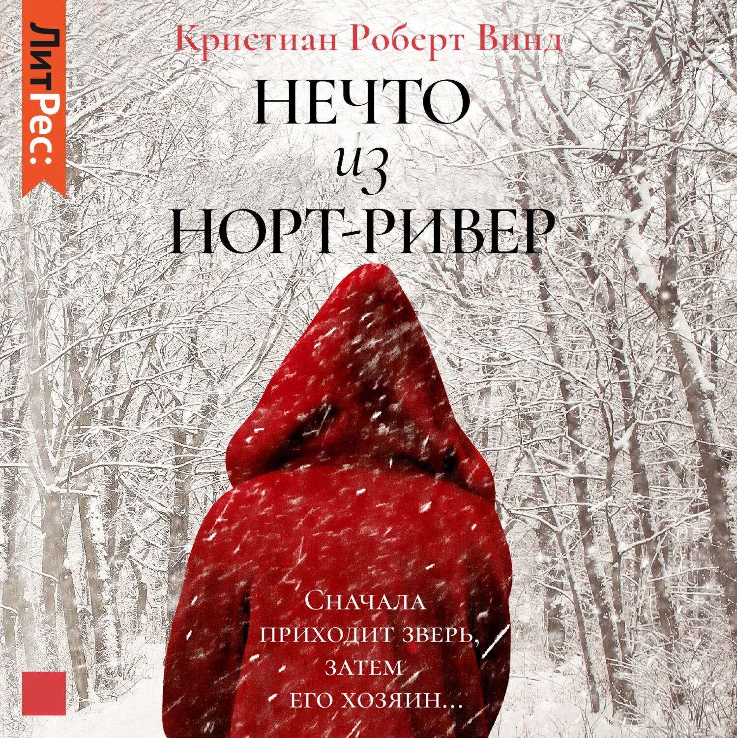 Нечто из Норт Ривер [Аудиокнига]