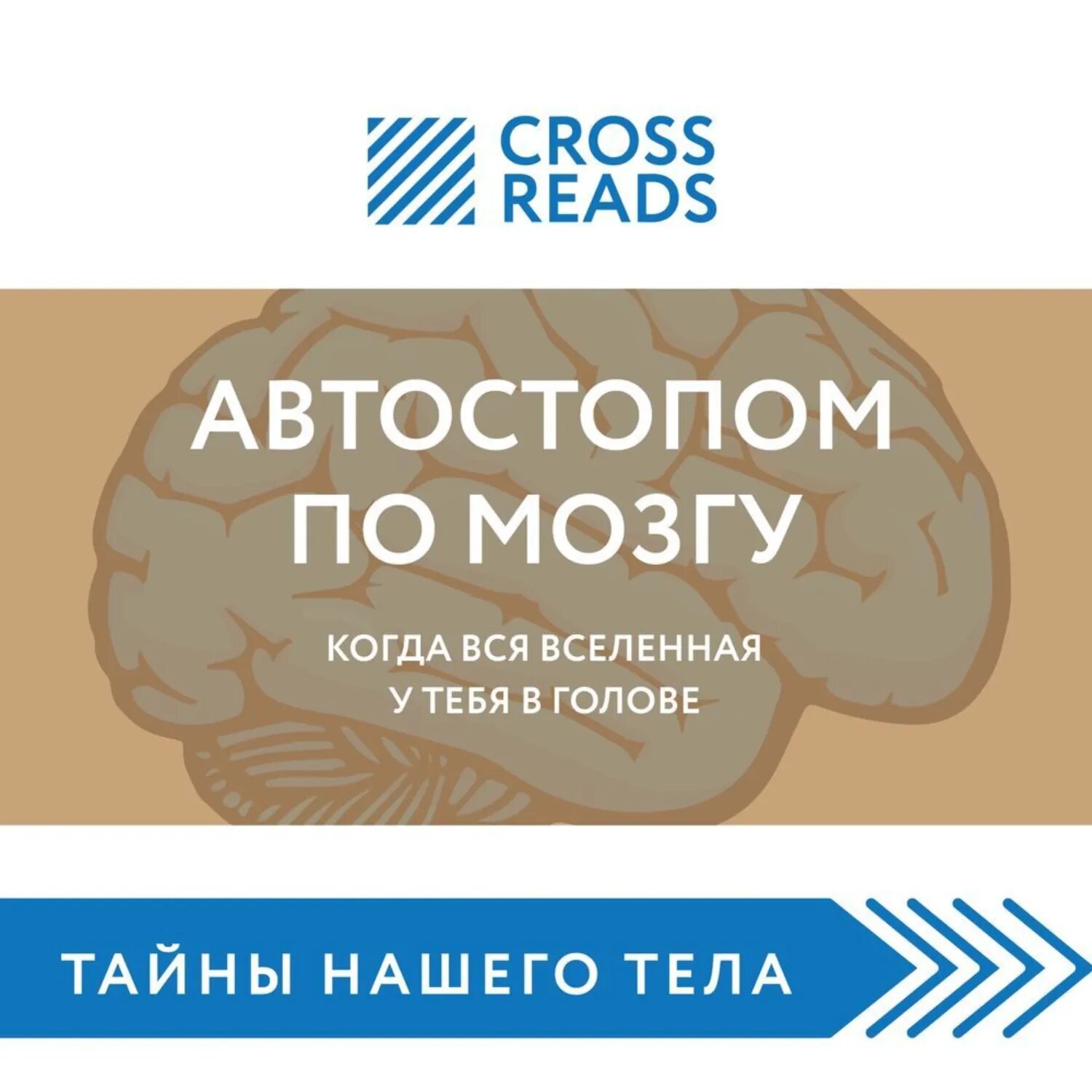 Саммари книги «Автостопом по мозгу. Когда вся вселенная у тебя в голове» [Аудиокнига]