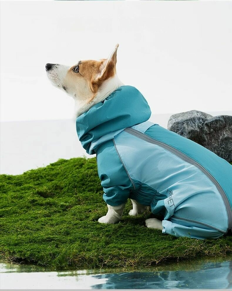 Комбинезон для корги водонепроницаемый