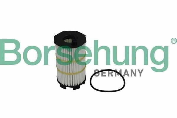Фильтр масляный Borsehung B10517 Audi A4, A5, A6, A8, Q7, R8 05-, VW Touareg 05-