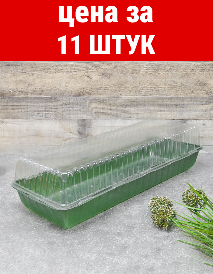 Комплект 11 шт, Парник для рассады 4 места, 58*19*6.5см