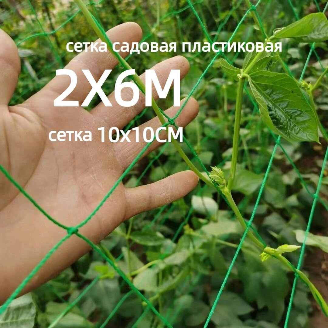 Сетка садовая, Пластик,6х2м