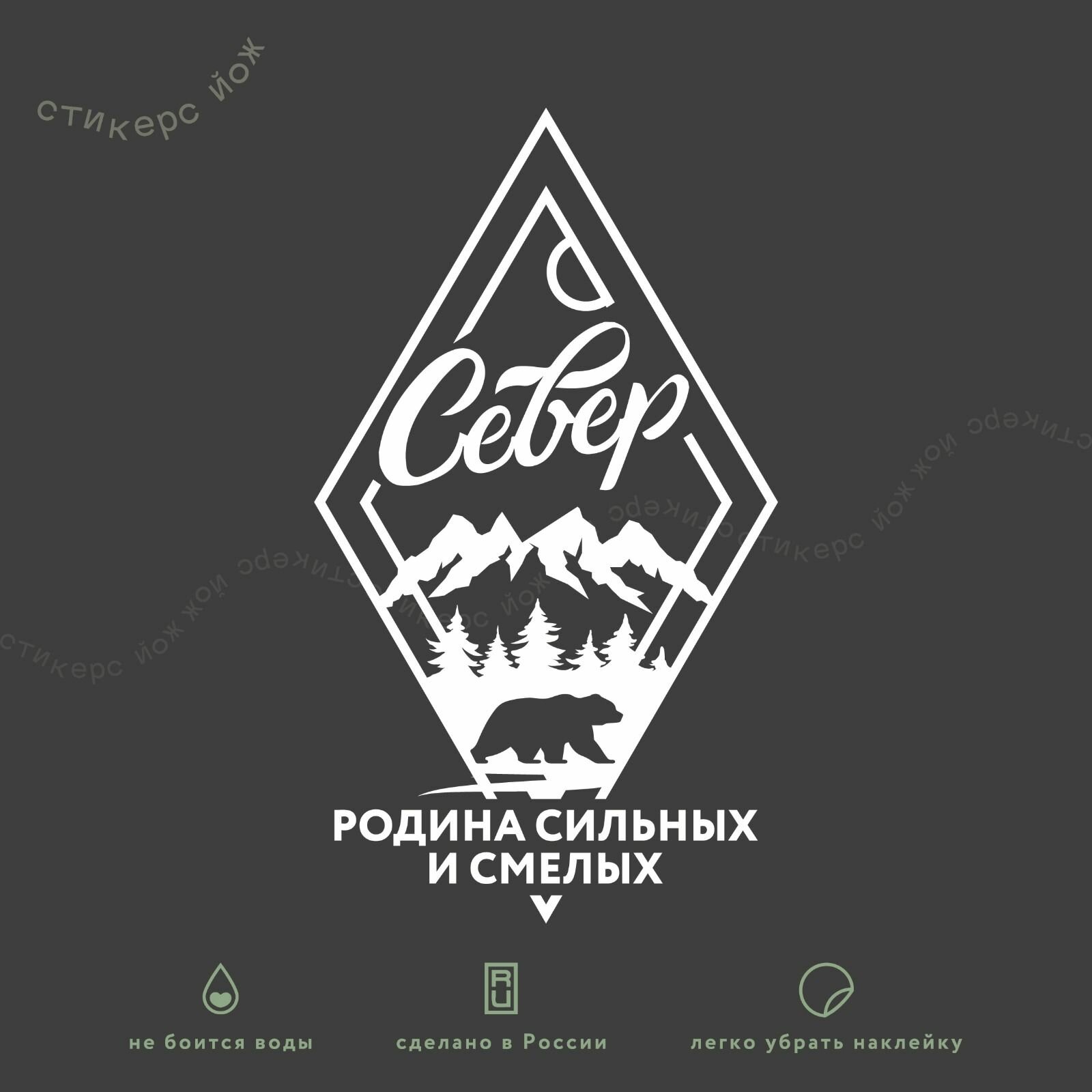Наклейка "Север" 17х10 см