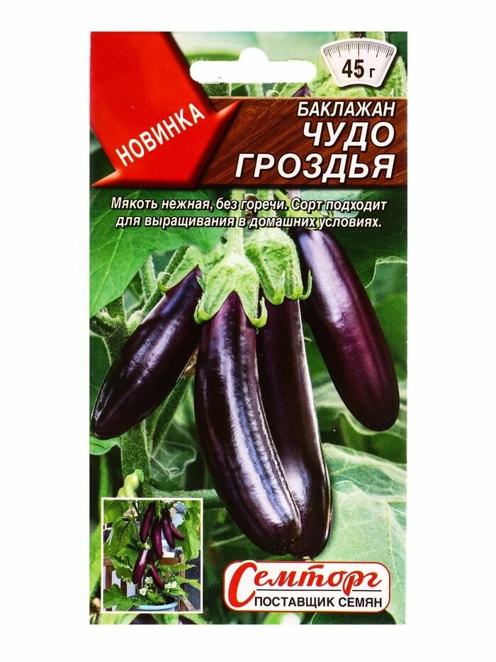 Семена баклажан Чудо гроздья - компактный , подходит для выращивания в домашних условиях. Семторг