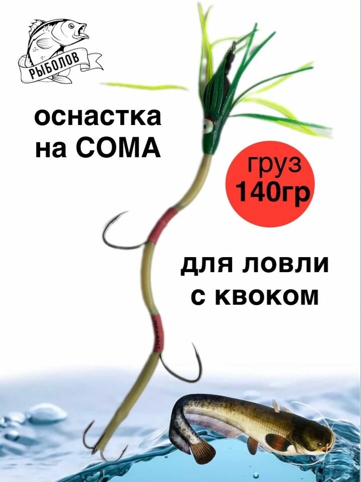 Оснастка на сома
