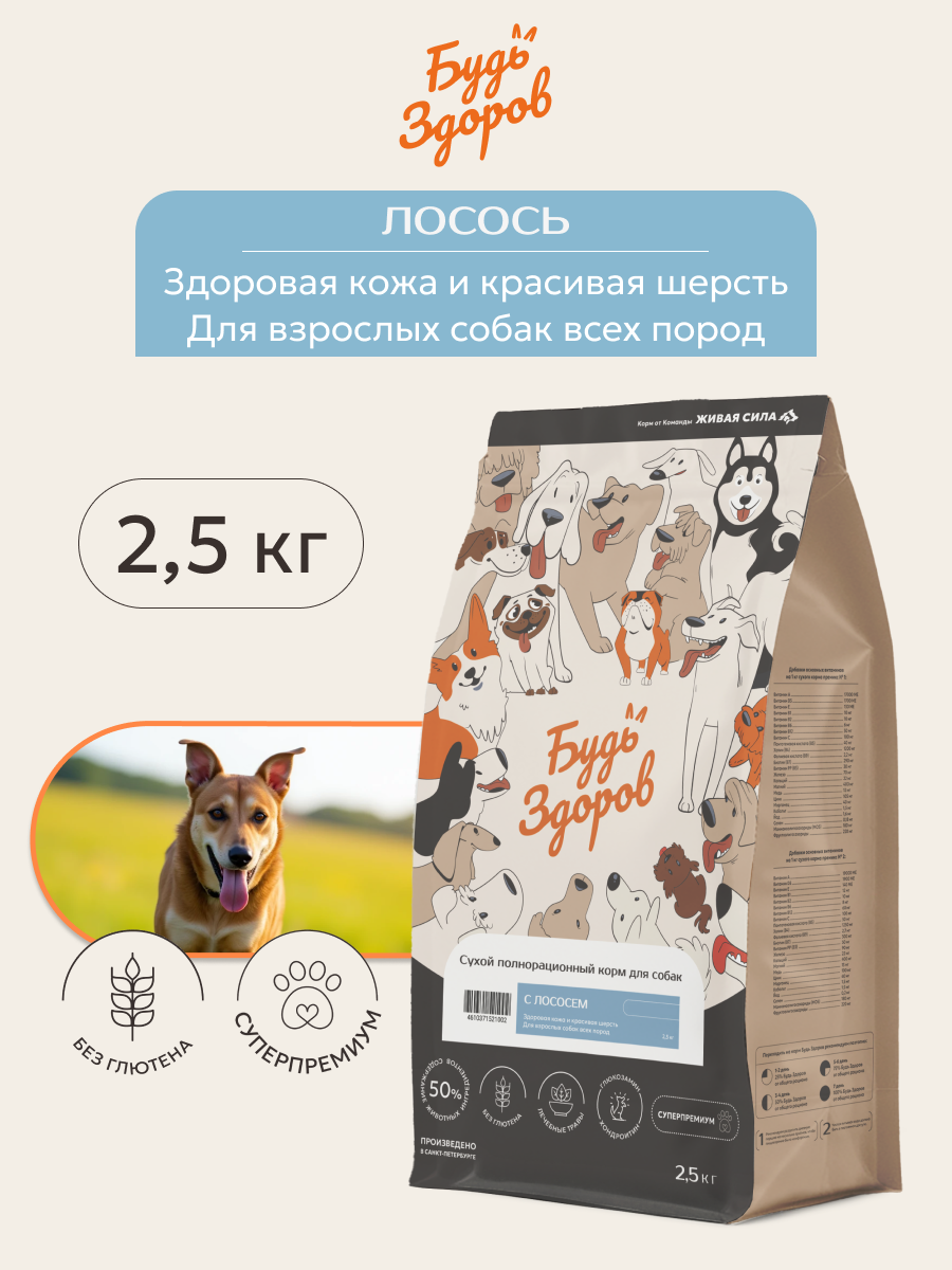 Будь здоров Корм для взрослых собак всех пород от 1 года с лососем, Крупная гранула (2,5 кг)