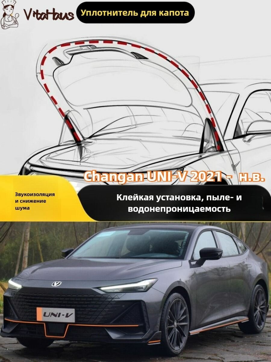 Changan Защита внешних частей автомобиля на кузов