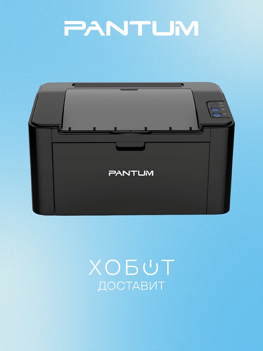 Принтер лазерный Pantum P2207