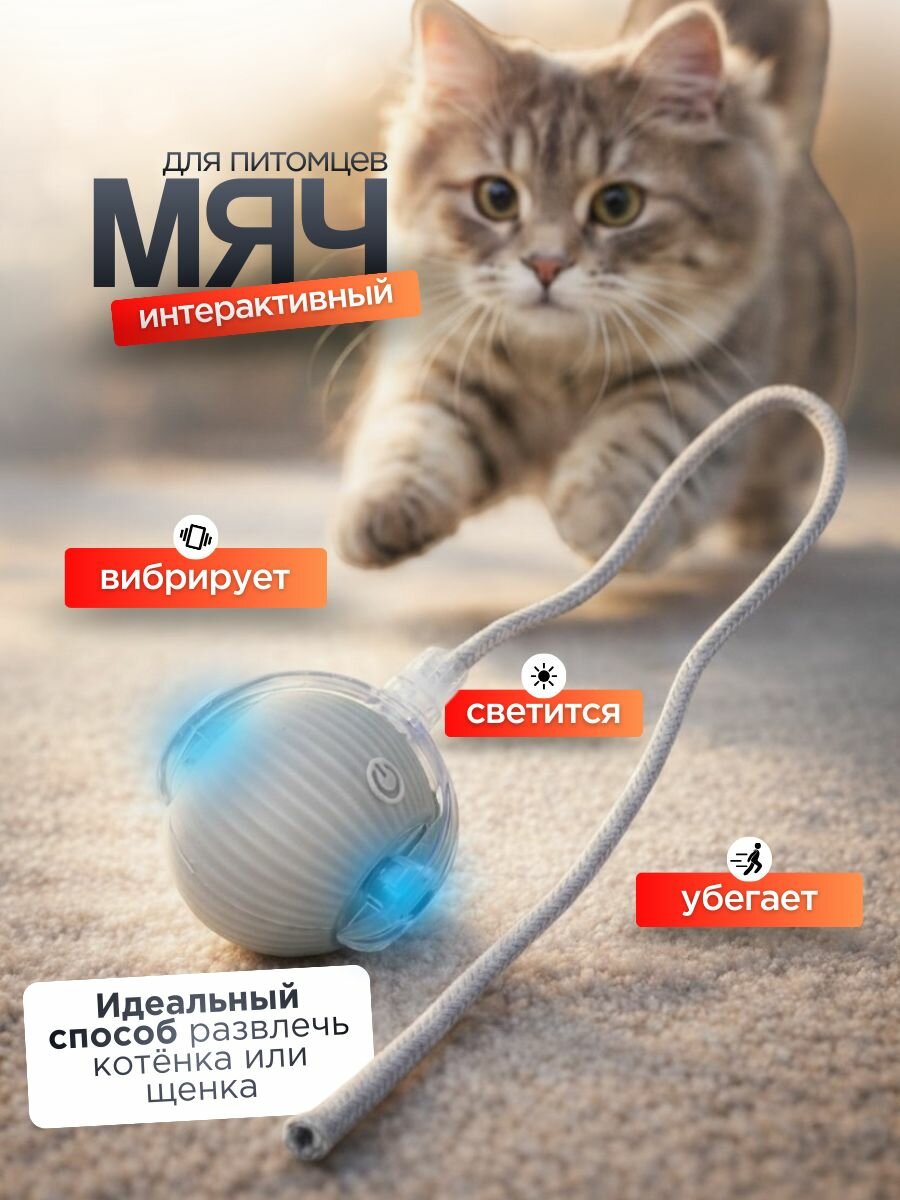 Игрушка для кошек интерактивная, умный мячик с хвостиком, дразнилка для котят