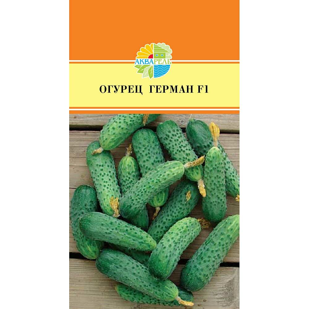 Семена огурец Герман (5семечек) пучковый , салатного и консервного назначения. Маринда/Акварель