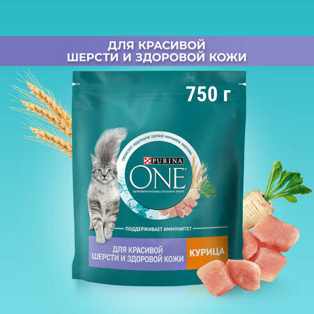 Purina ONE 2 шт по 750 г сухой корм взрослых кошек для красивой шерсти, здоровой кожи и контроля образования волосяных комков, с высоким содержанием курицы и цельными злаками