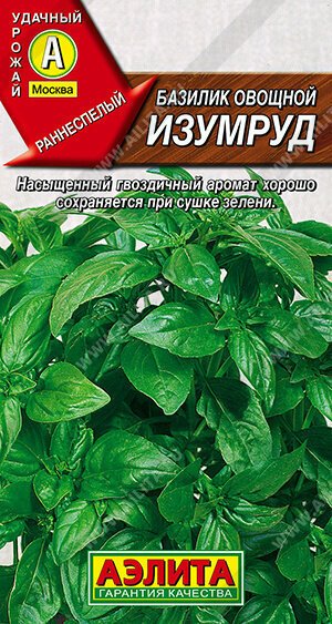 Базилик овощной Изумруд