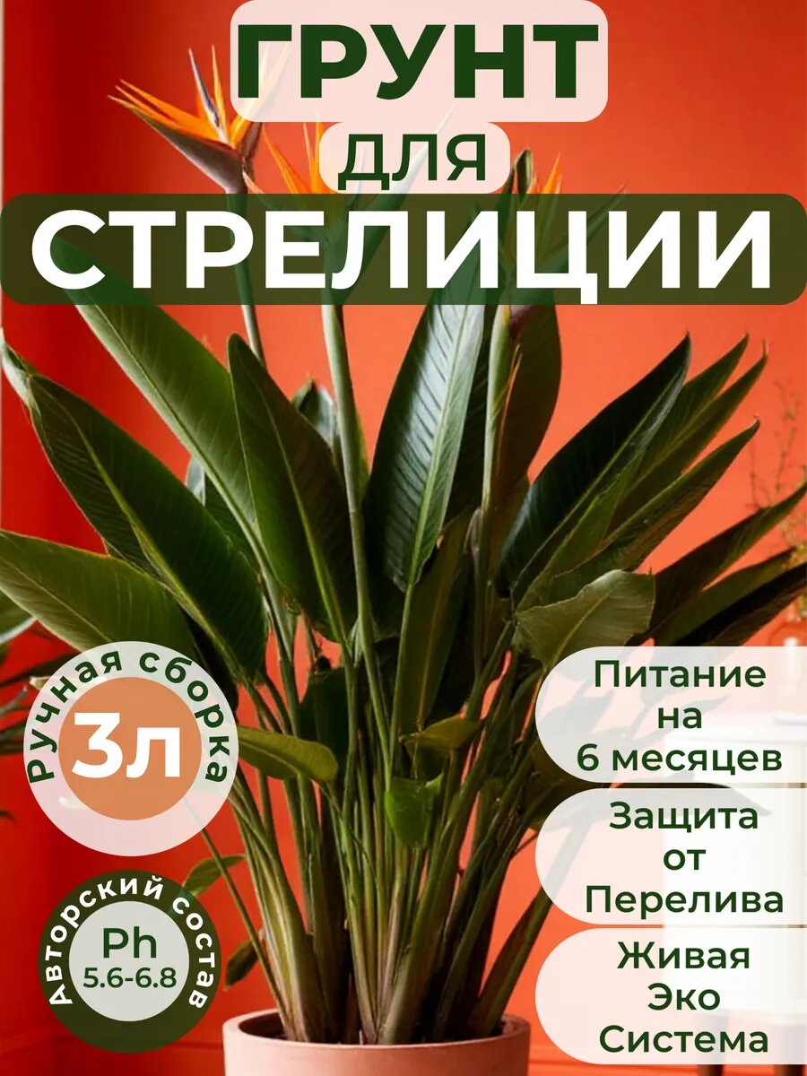 Готовый авторский грунт для Стрелиции, премиум 3 литра