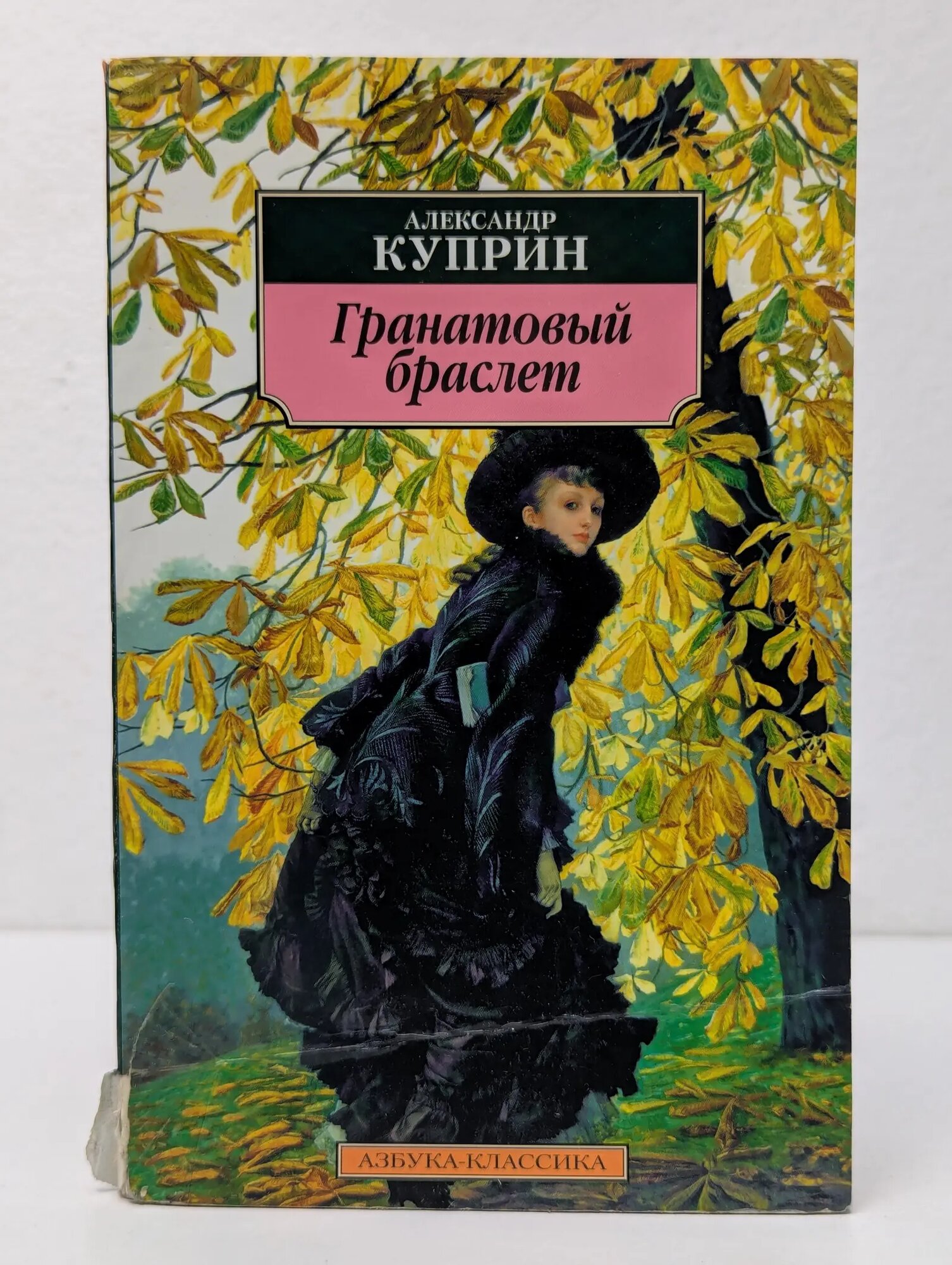 Гранатовый браслет: повести, рассказы Куприн Александр Иванович 2017