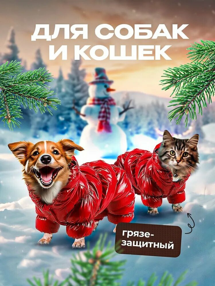 Одежда для животных — фото 1
