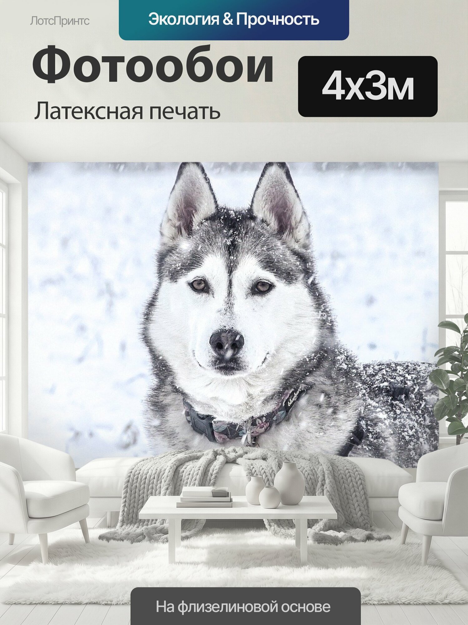 Фотообои моющиеся ударопрочные "Хаски, снег, волк" 400x300 см. латексная печать