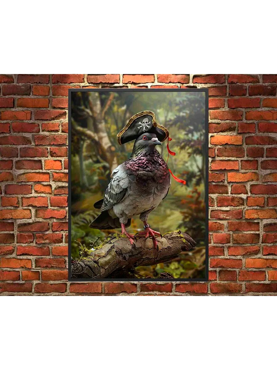 Голубь-птица-пират 3, Плакат 30x42см