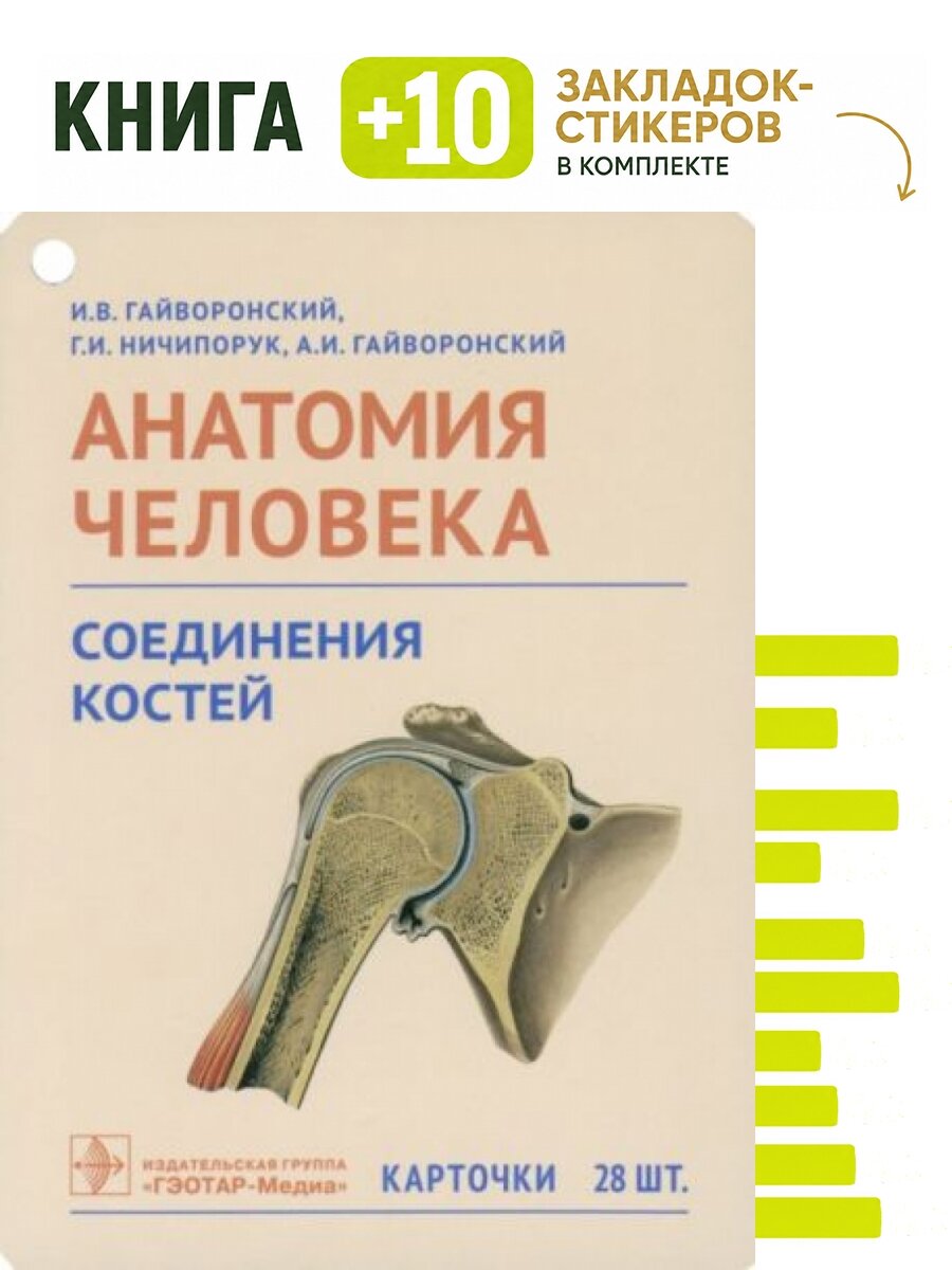 Анатомия человека. Соединения костей. Карточки : наглядное учебное пособие. Комплект: книга + 10 закладок-стикеров