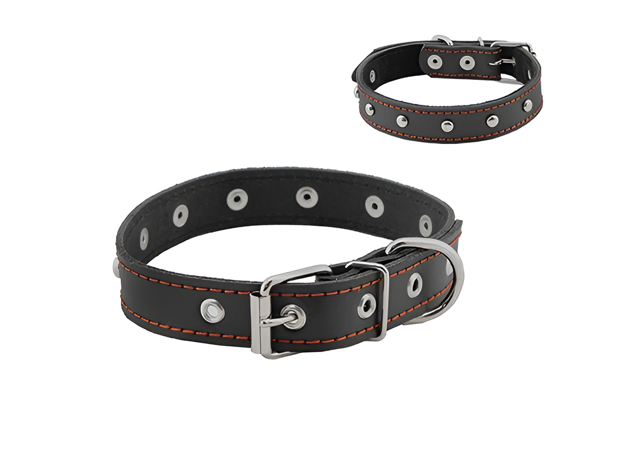 Ошейник для собак кожаный с украшениями, черный HOMEPET 25 мм 35-47 см