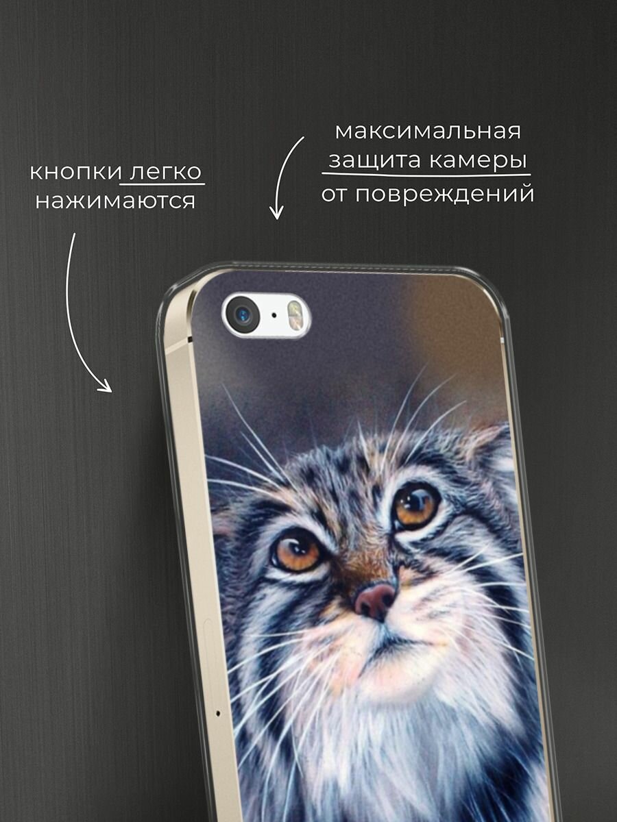 Чехол на Apple iPhone 5/5S/SE / Айфон 5/5S/SE с принтом "Кот манул 2" — фото 1