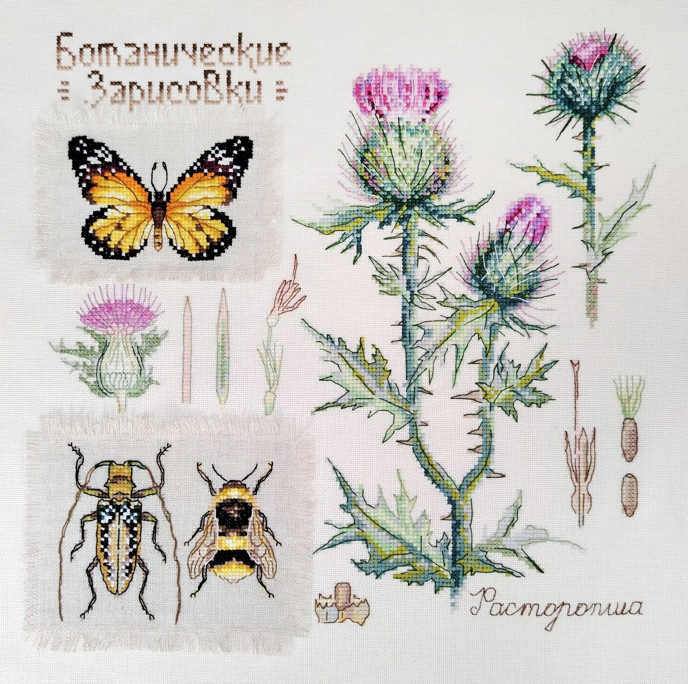 Набор для вышивания Марья Искусница "Ботаника: Расторопша", арт. 03.015.20, 30х30 см.