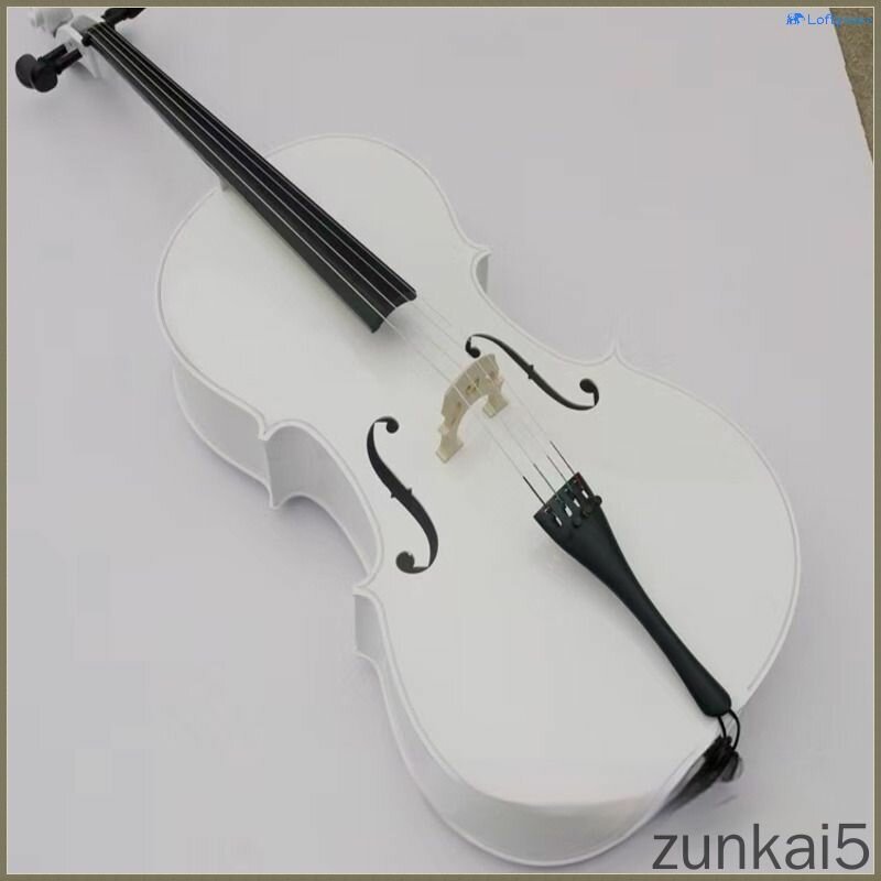 BK 4/4 - Виолончель, чехол и смычок в комплекте