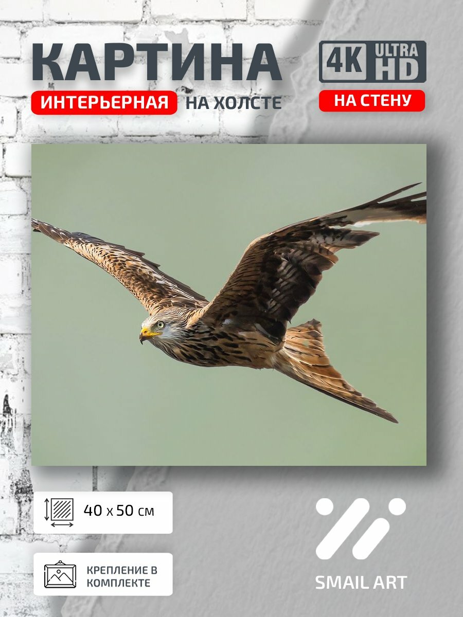 Картина на холсте интерьерная 40 на 50 на стену Крылья Landscape для спальни пейзаж декор